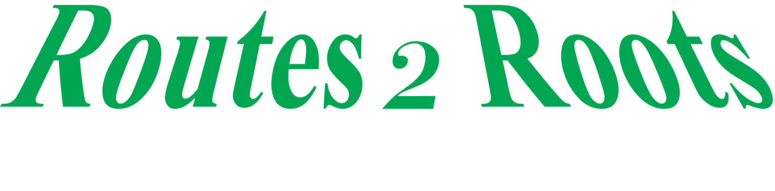 Routes 2 Roots Initiatives: Peace through Culture and Arts
